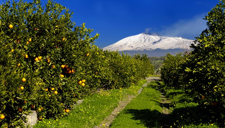 Global Start, Syracuse | UCEAP